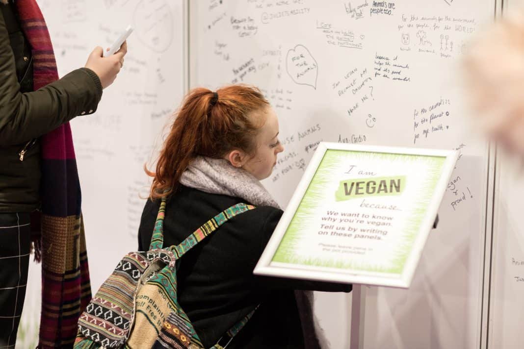 Vegan Life Live 2019 – Broke Girl in the City